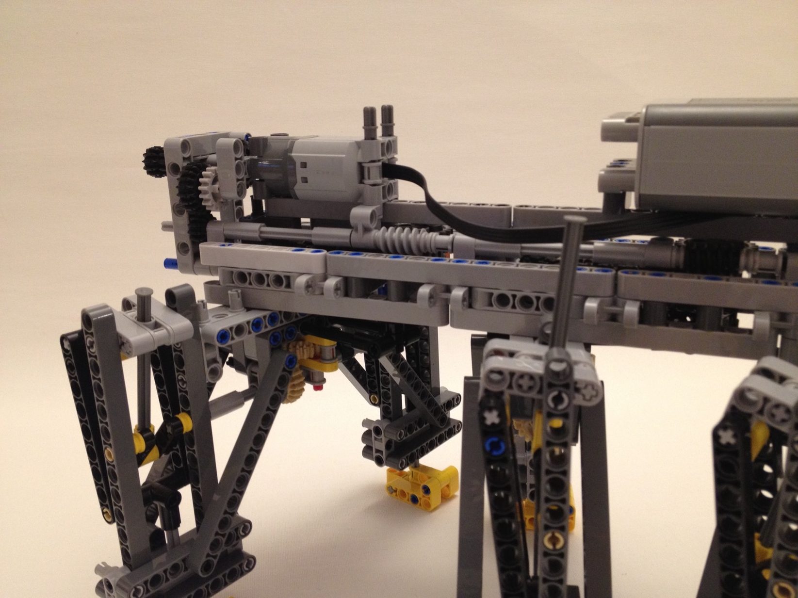 Insect Walker | Frank van der Most