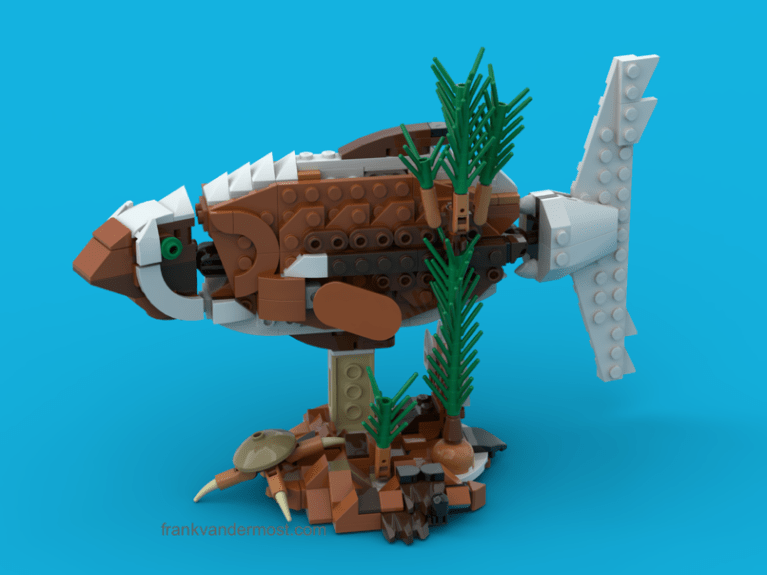 Forest fish | Frank van der Most