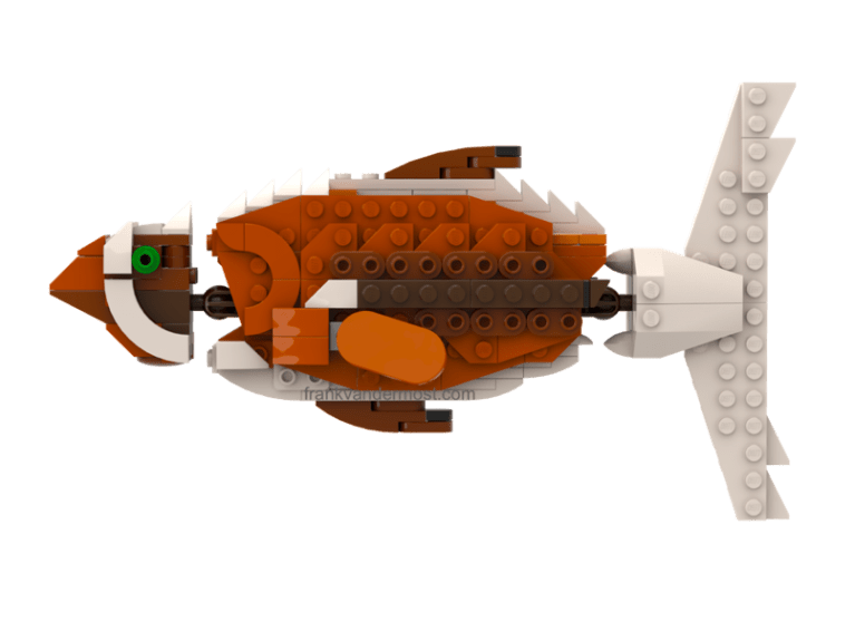 Forest fish | Frank van der Most
