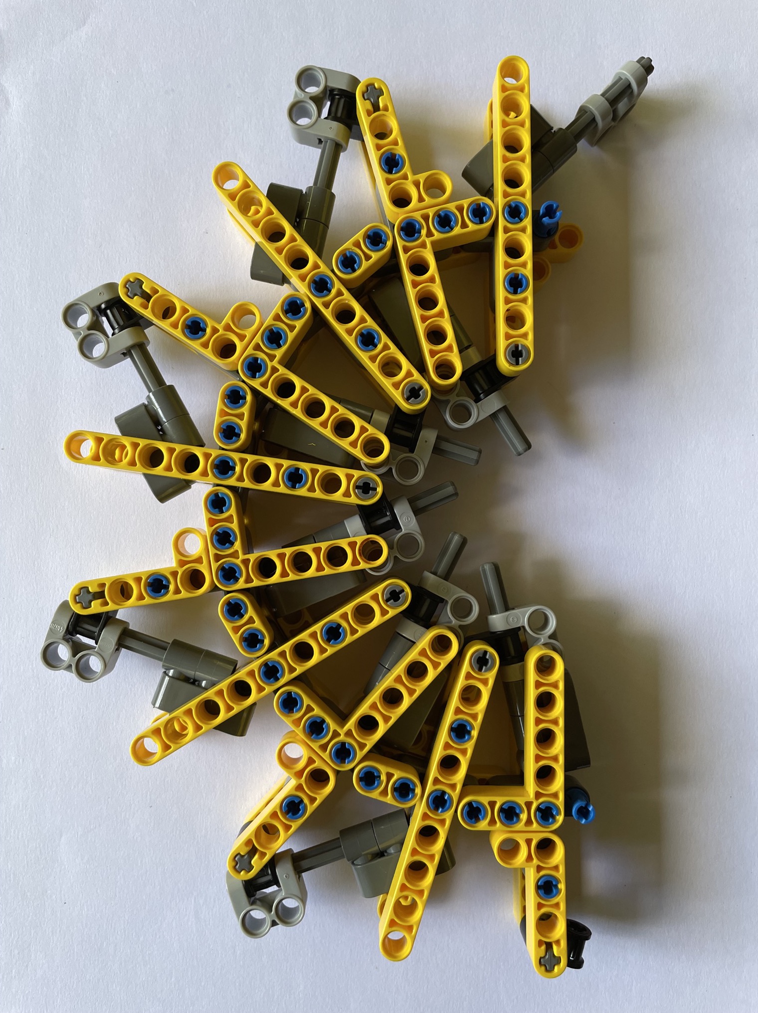 Stabilized ‘fish spine’ | Frank van der Most