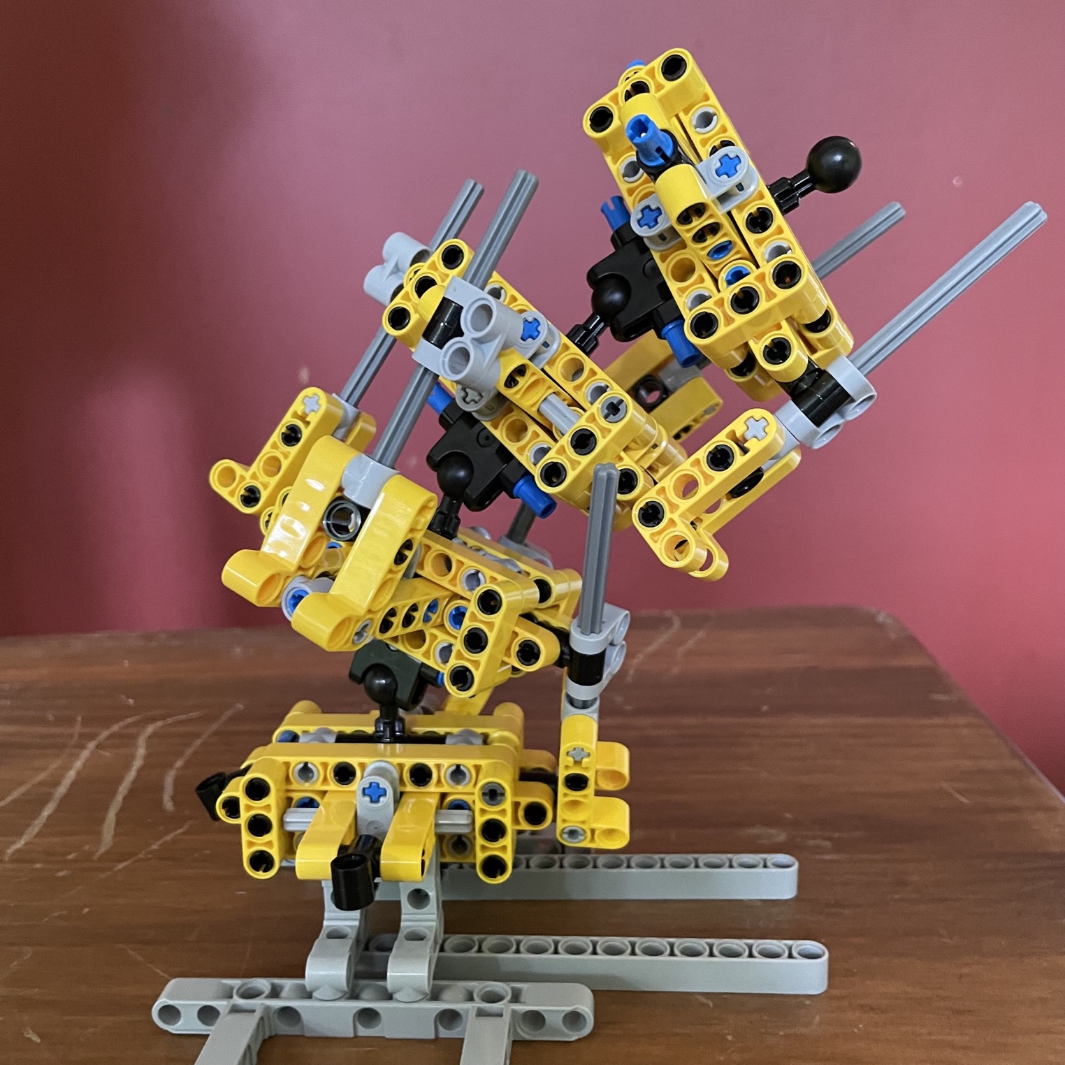 Stabilized ‘dragon spine’ | Frank van der Most