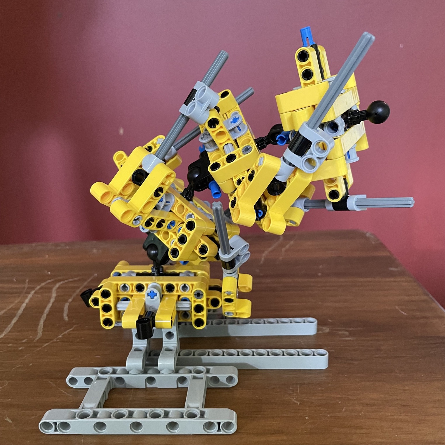 Stabilized ‘dragon spine’ | Frank van der Most