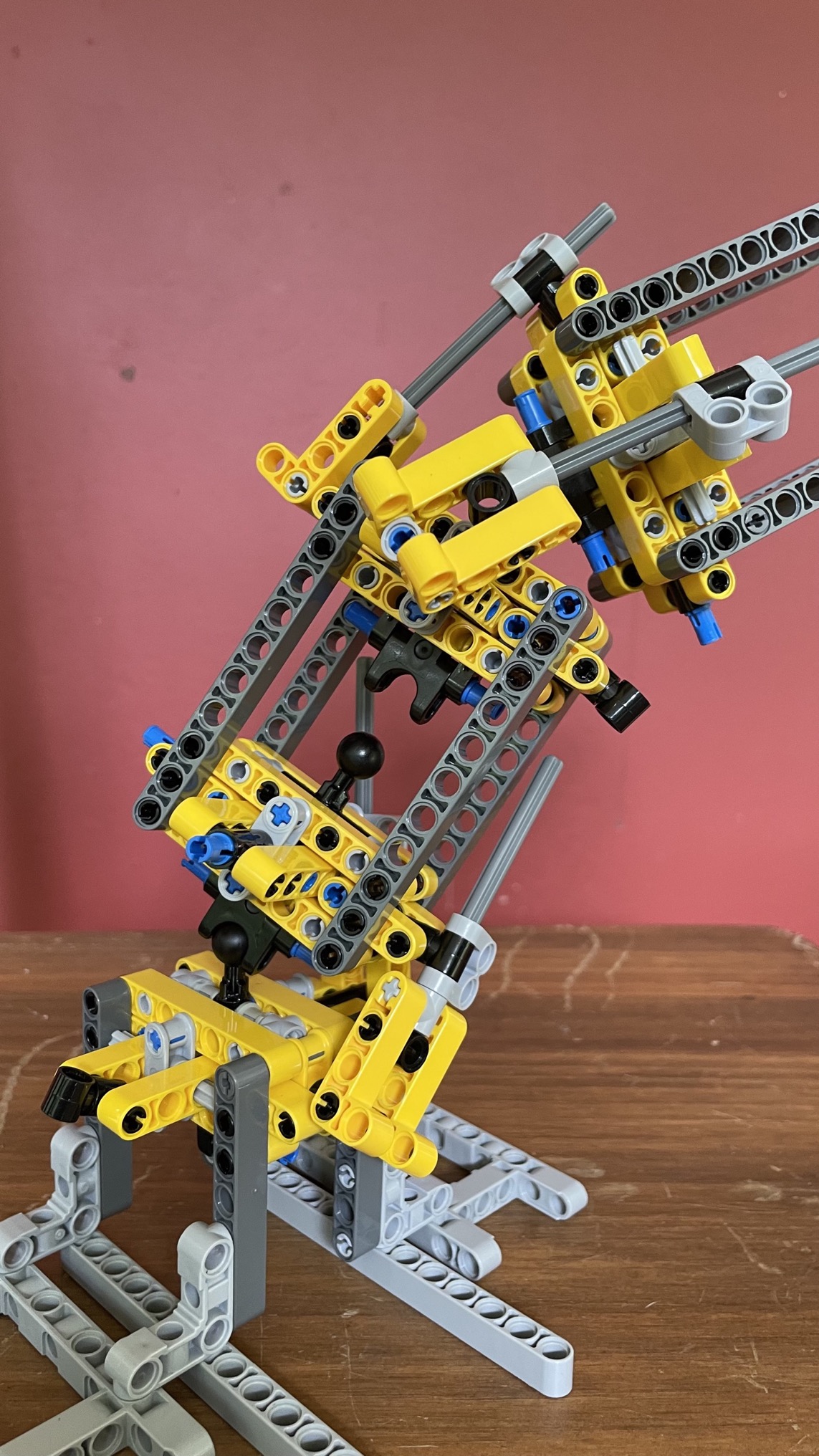 Stabilized ‘dragon spine’ | Frank van der Most