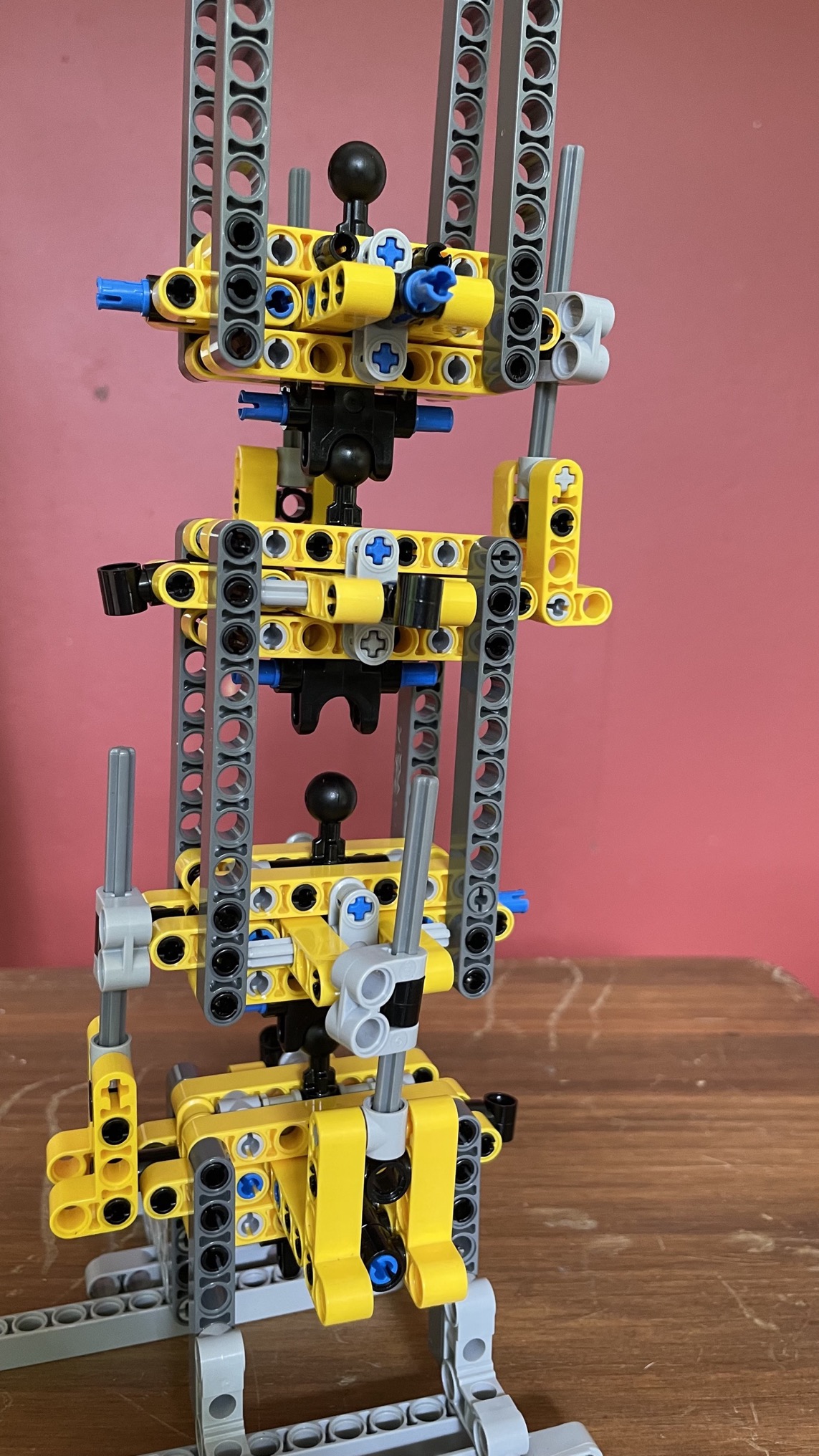 Stabilized ‘dragon spine’ | Frank van der Most