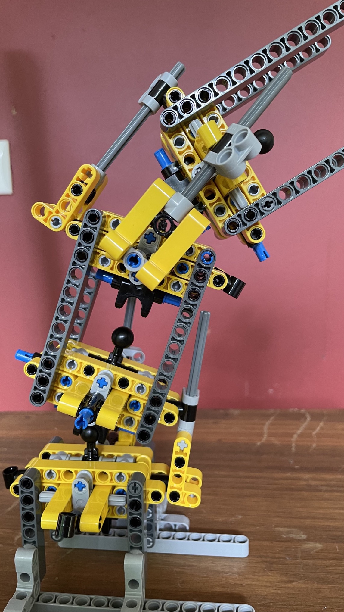 Stabilized ‘dragon spine’ | Frank van der Most